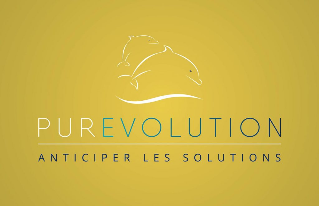 Purevolution | Synellipse – Éric Joly
